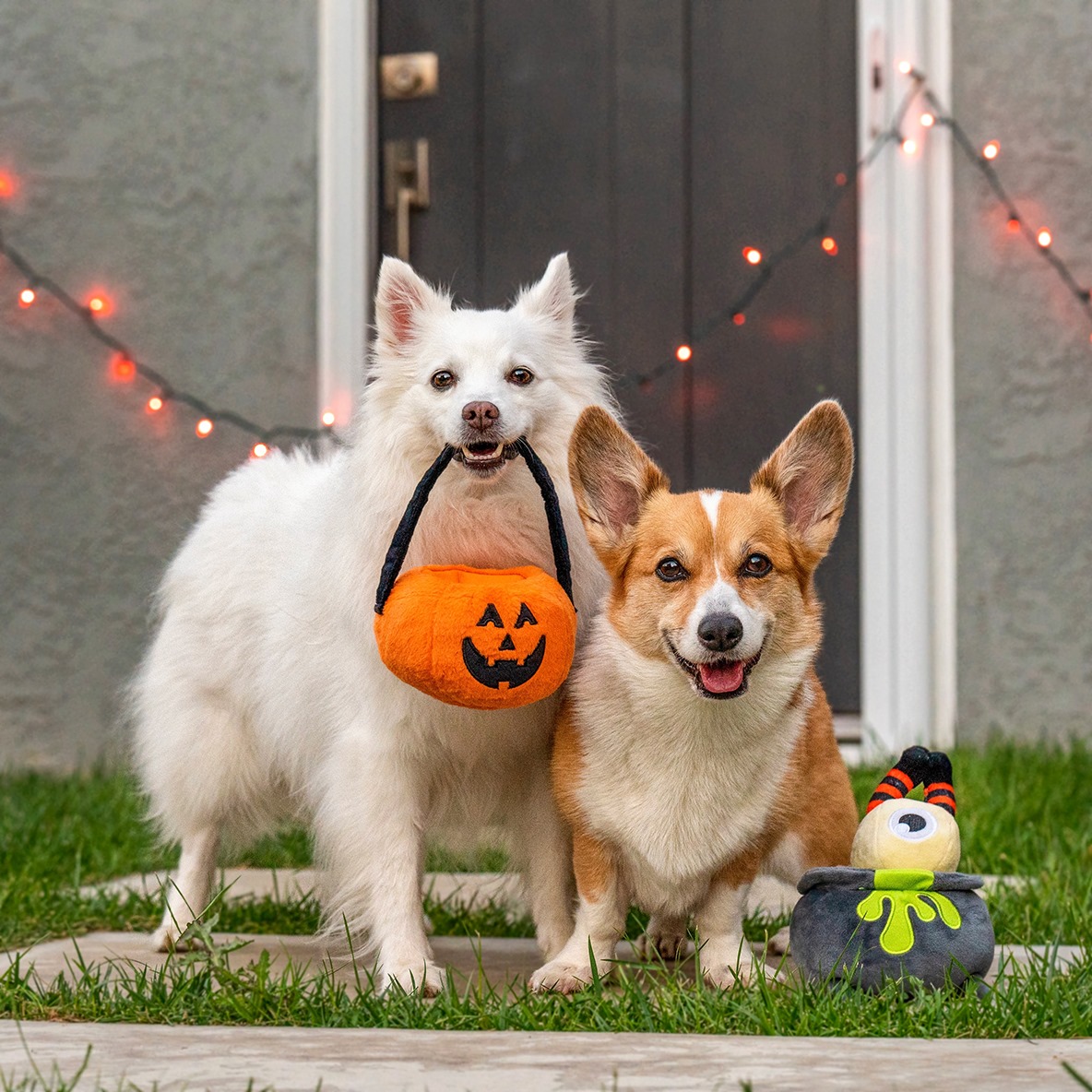 Hauntingly Good Times in Playhouse Village! » Playhouse Village Association